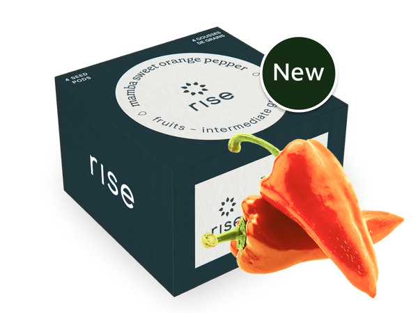 Pepper Mamba Sweet Orange