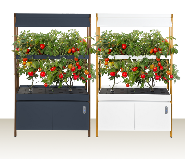 The Rise Garden | Indoor Hydroponic Garden
