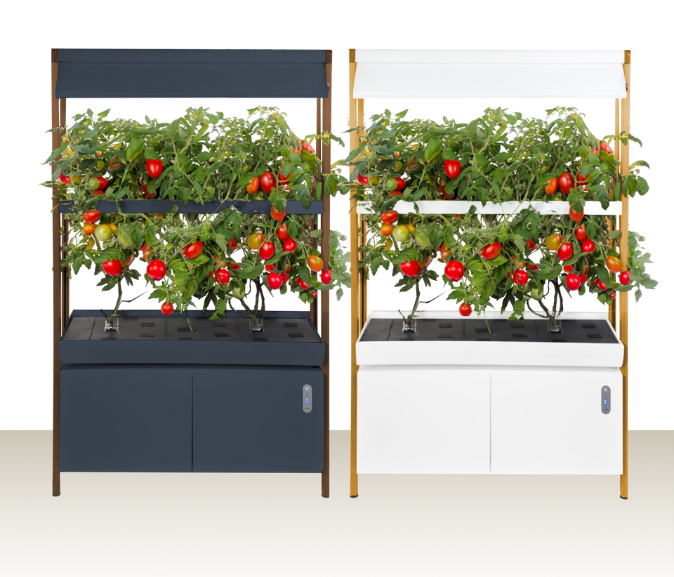 The Rise Garden | Indoor Hydroponic Garden