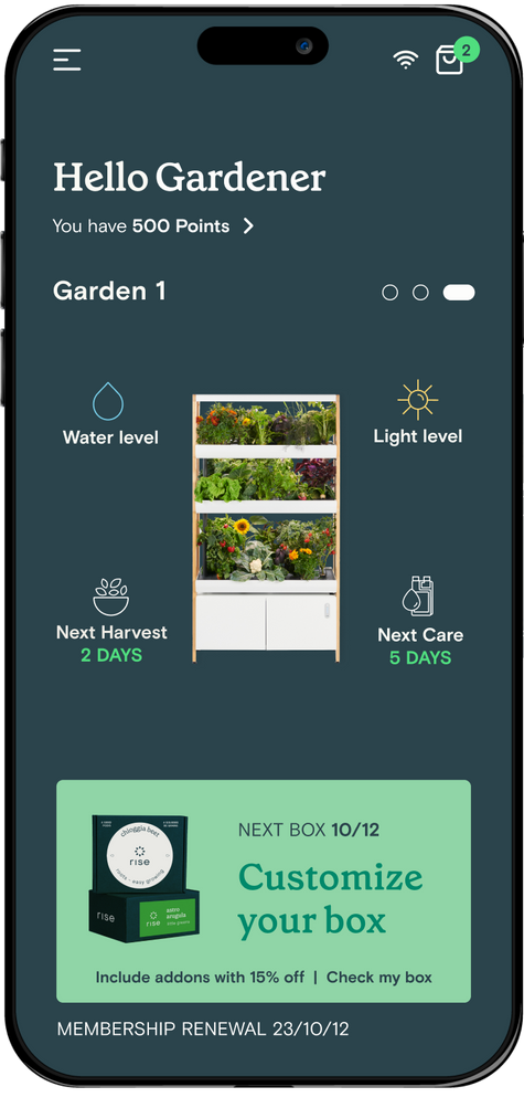 Hydroponic Garden for Home | Indoor Garden by Rise Gardens