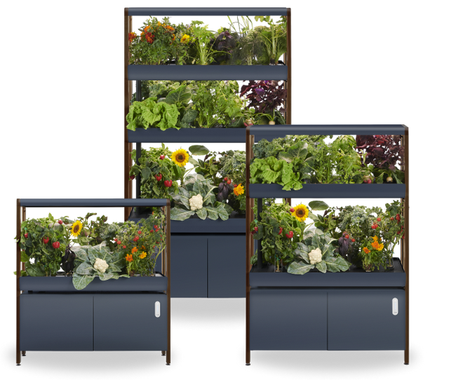 Hydroponic Garden for Home | Indoor Garden by Rise Gardens