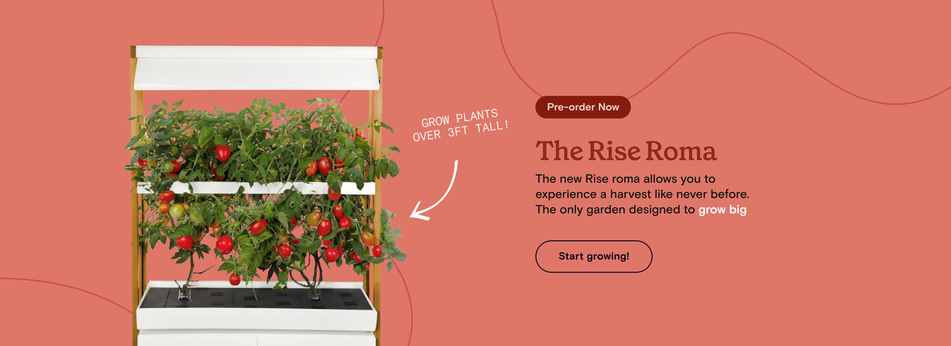 Hydroponic Garden for Home | Indoor Garden by Rise Gardens
