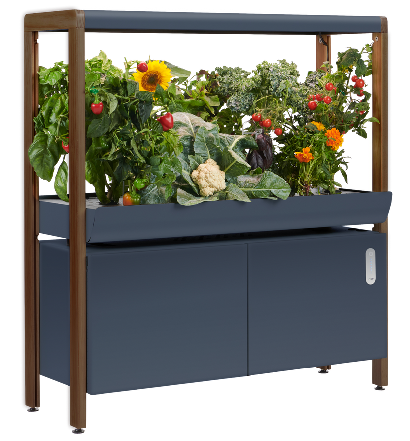 Hydroponic Garden for Home | Indoor Garden by Rise Gardens