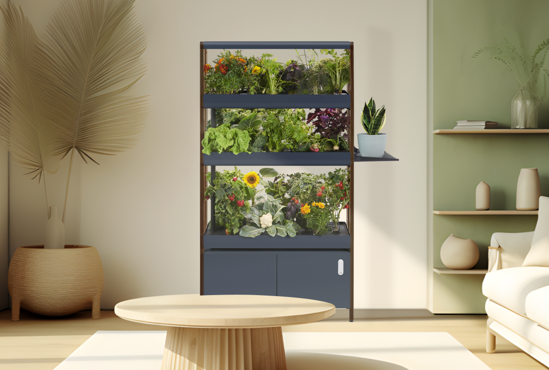 Hydroponic Garden for Home | Indoor Garden by Rise Gardens