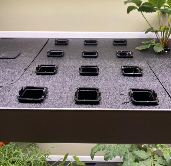 12 Pod Tray Lid