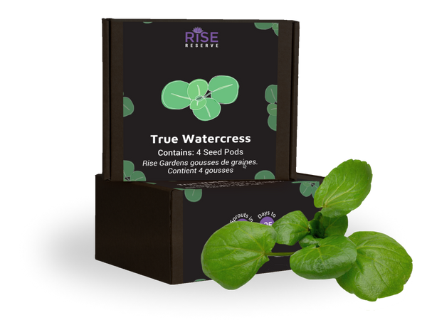 Watercress True